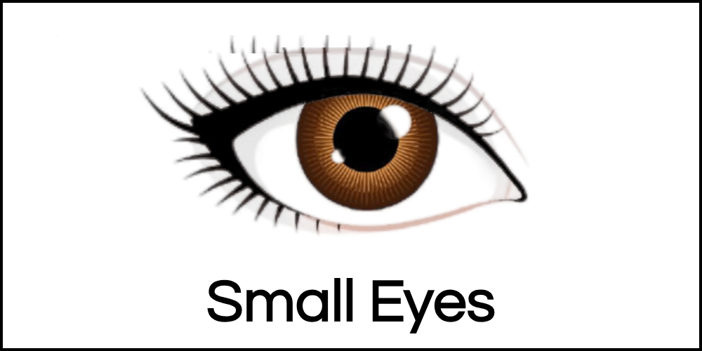 Best False Eyelashes for Small Eyes | Nikkia Joy Cosmetics